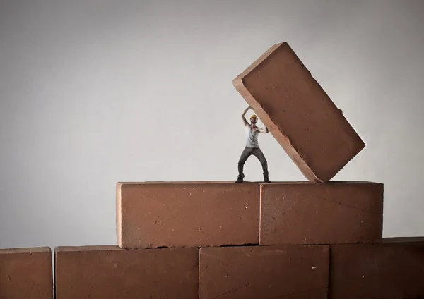 Squashed Stock Photos, Royalty Free Squashed Images | Depositphotos®