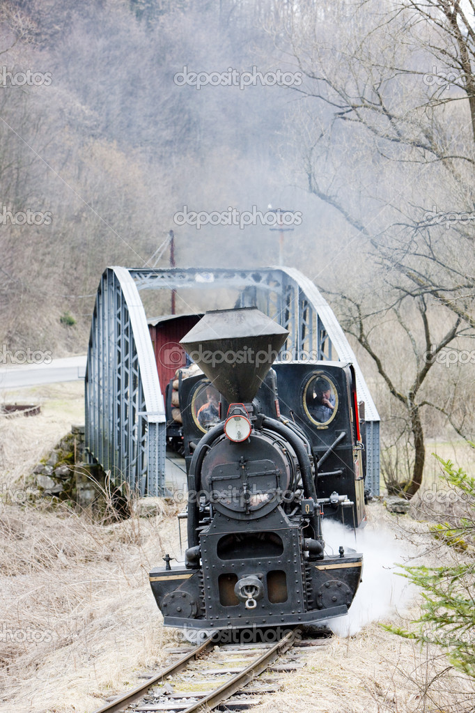 Steam train, Ciernohronska Railway, Slovakia Stock Photo by ©phb.cz ...