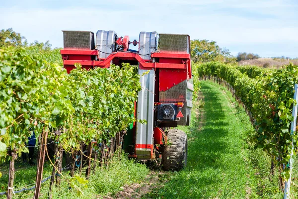 Grape harvesting machine Stock Photos, Royalty Free Grape harvesting machine Images | Depositphotos