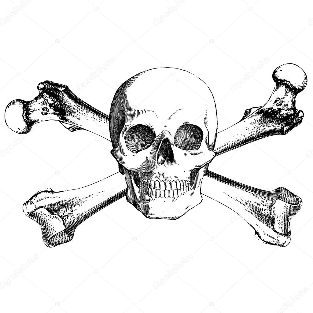 Vector Vintage Skull and Cross Bones Stock Vector by ©createfirst 13663257