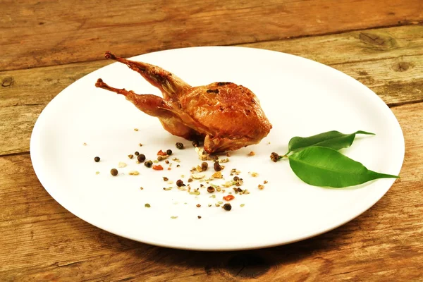 Cute dressed quail Stock Photo by ©Terric 40585077