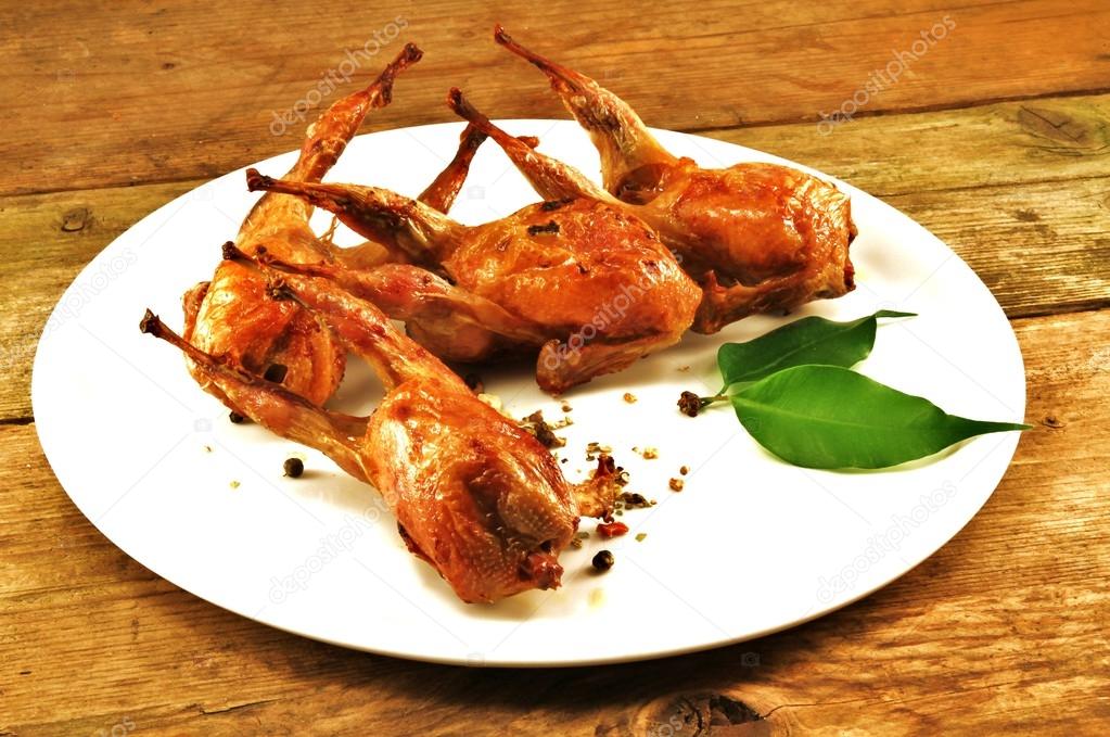 Cute dressed quail Stock Photo by ©Terric 40585077