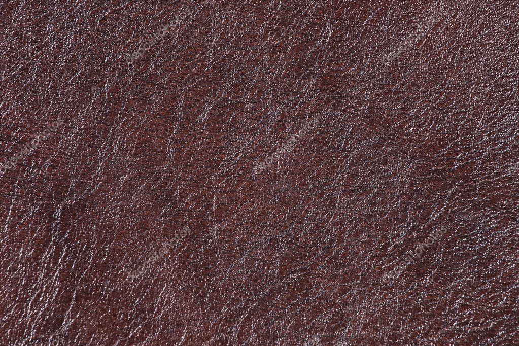 High resolution texture. Background. Skin. — Stock Photo © zheltikov ...