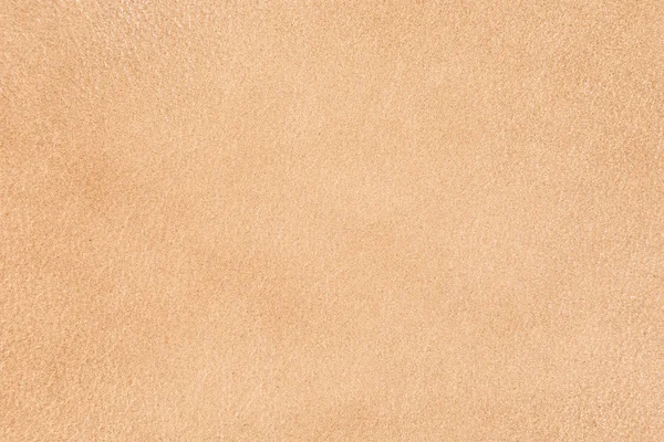 High resolution texture. Background. Skin. — Stock Photo © zheltikov ...