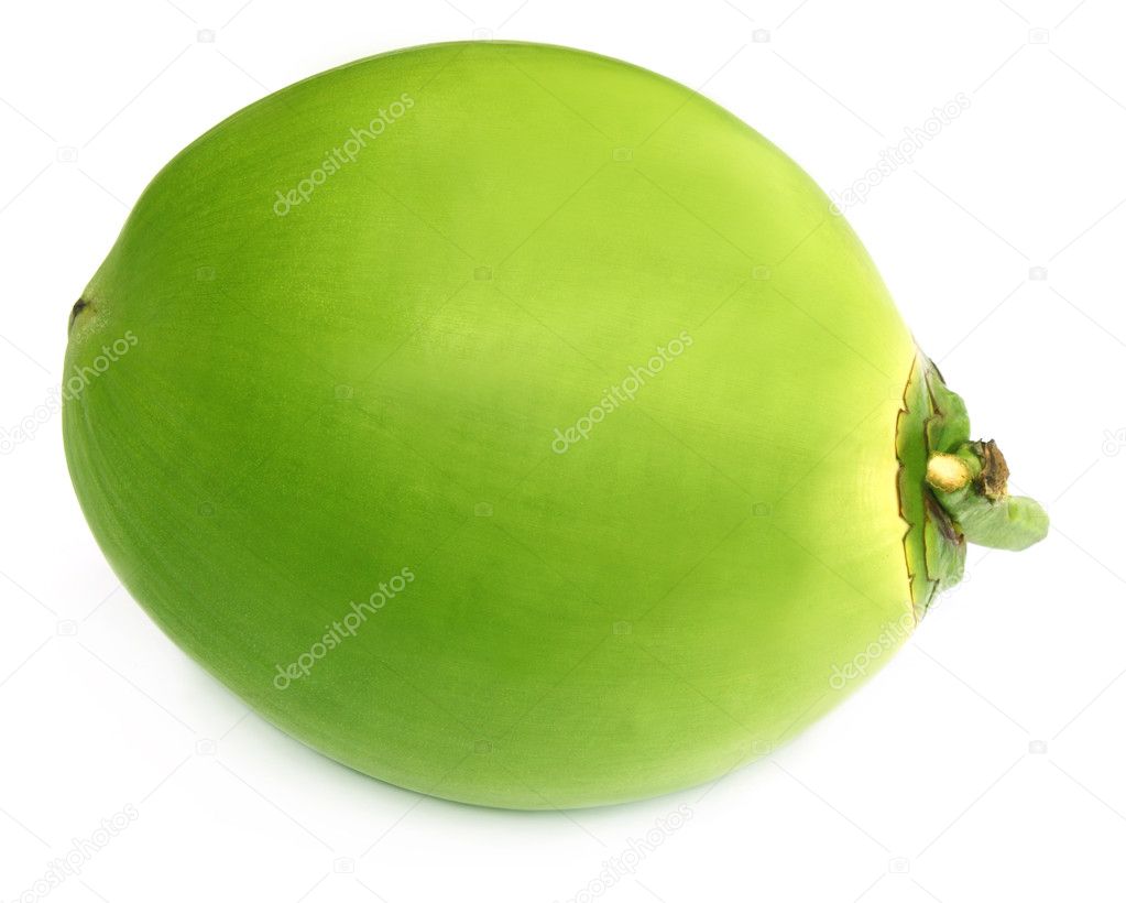 Green coconut Stock Photo by ©bdspn74 18573969