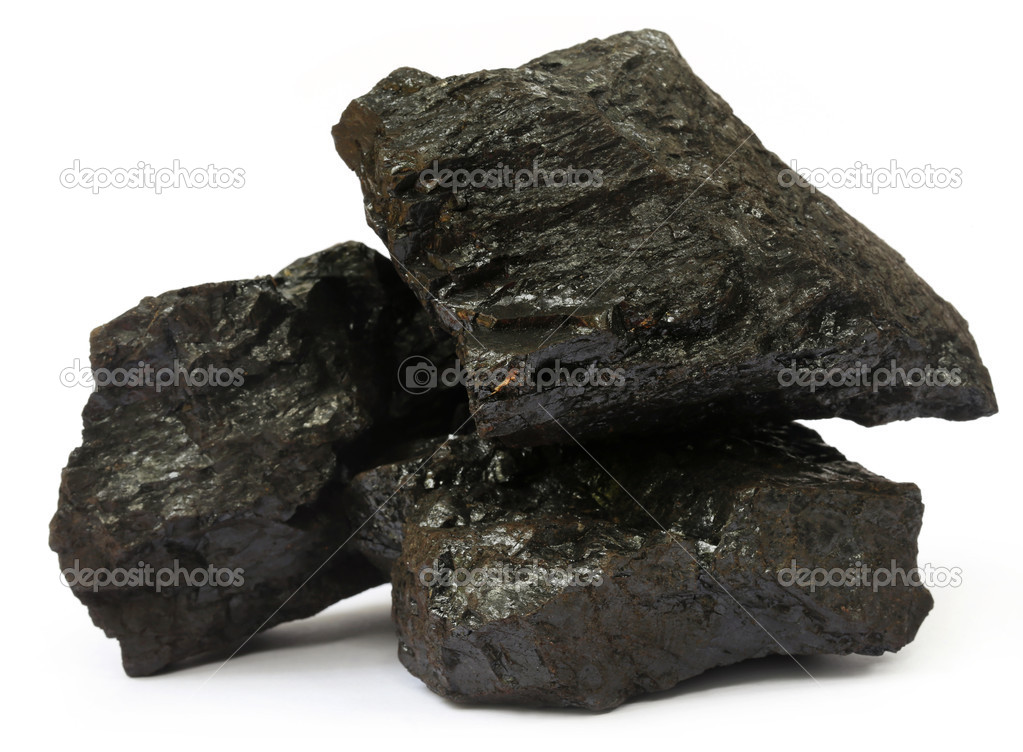 Bituminous Coal Sedimentary Rock