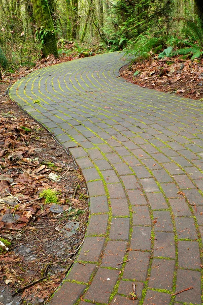 Curved path grass lawn low — Stock Photo © bobkeenan #4146454