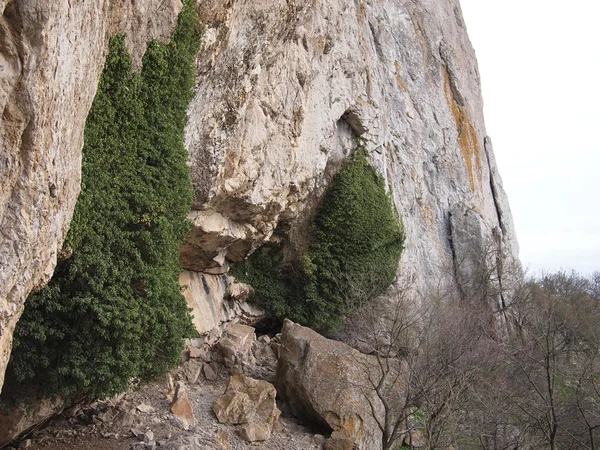 カルスト Stock Photos, Royalty Free カルスト Images | Depositphotos