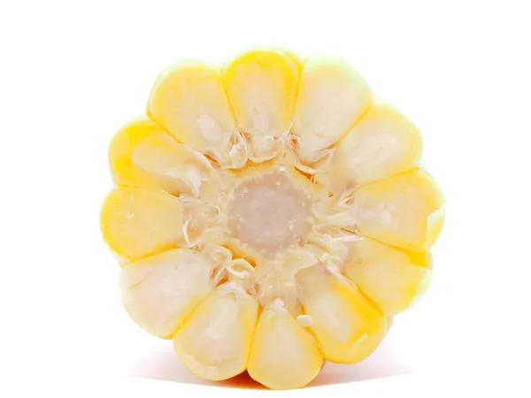 The corn cob pith — Stock Photo © Xalanx #36966441