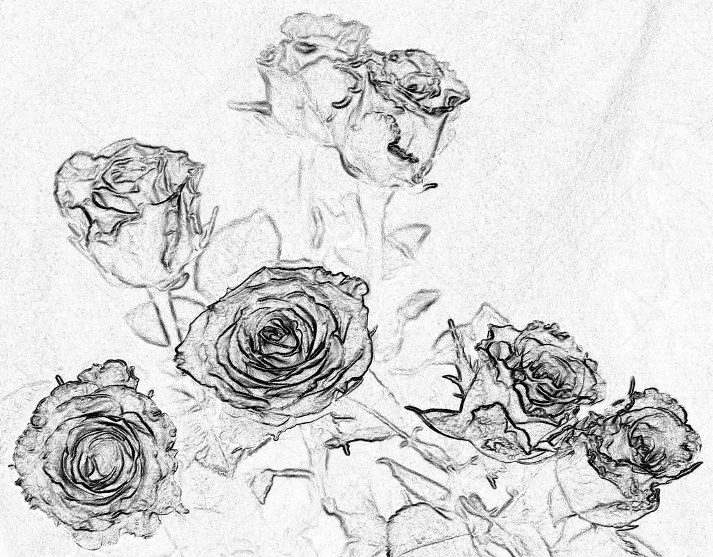 Black and white skecth of bouquet of roses on grunge stained grey ...