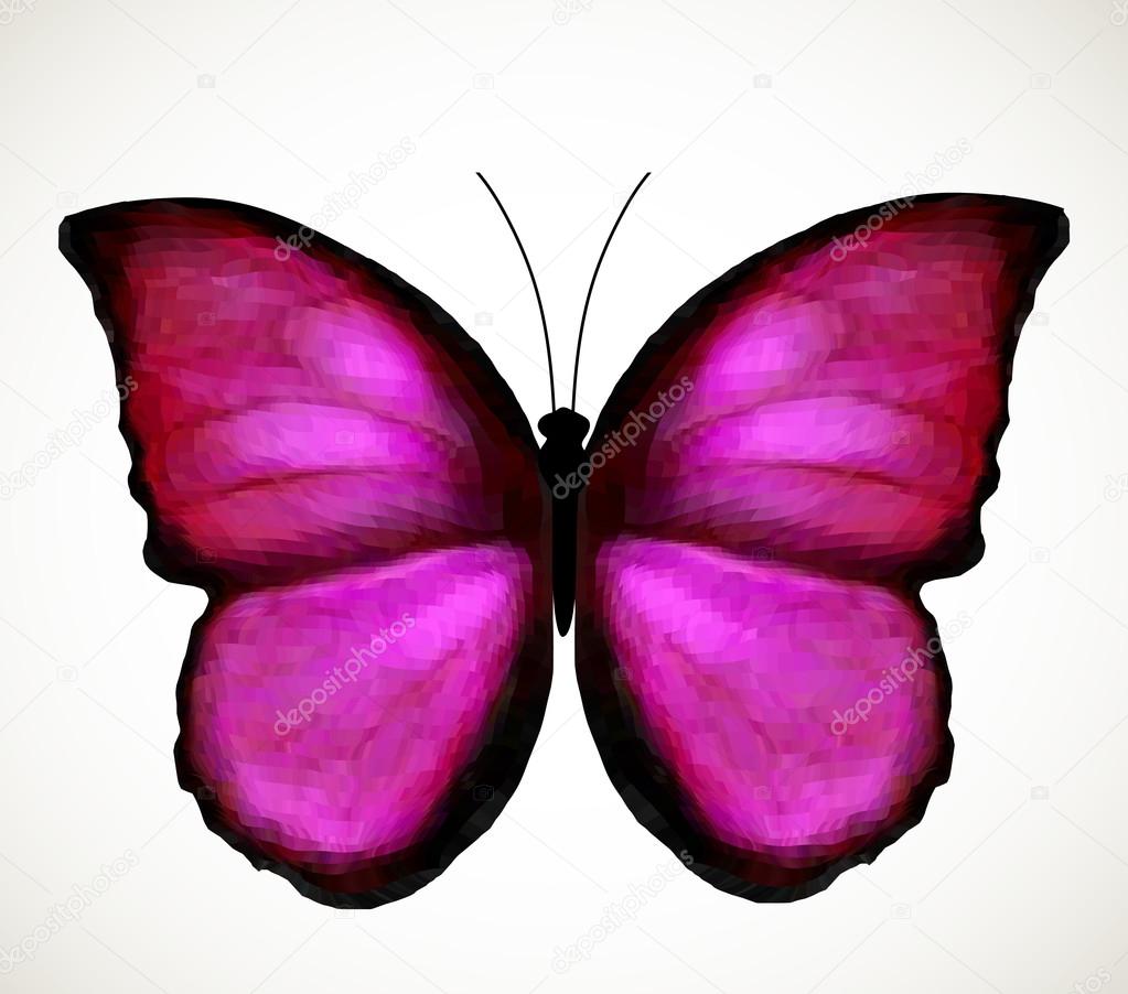 Mariposa de color rosa brillante. Vector — Vector de stock © emaria ...