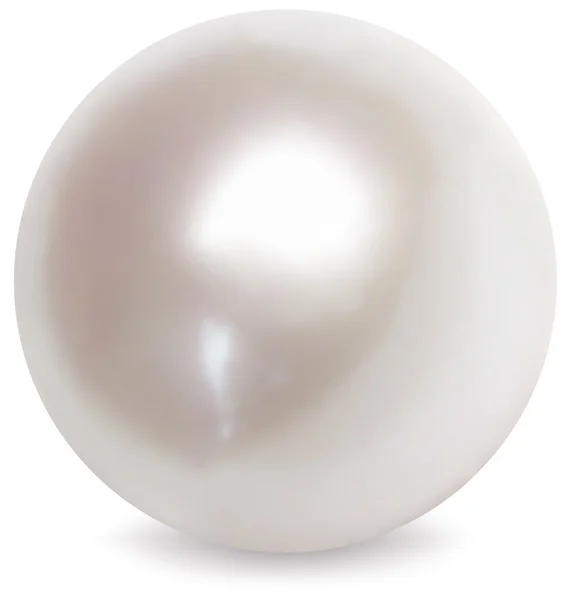 Perl Stock Photos, Royalty Free Perl Images | Depositphotos