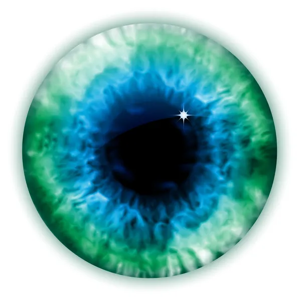 Sharp eyes Vector Art Stock Images | Depositphotos