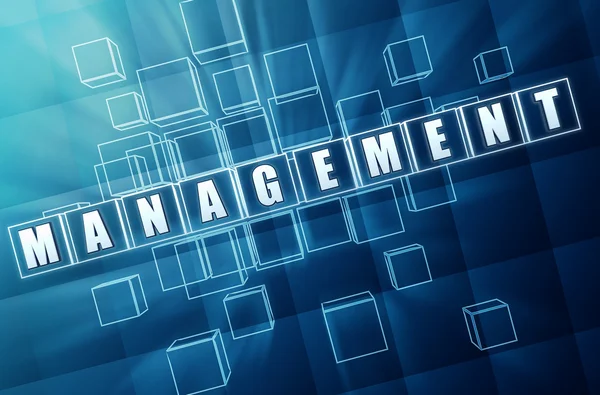 Project management in blue glass cubes Stock Photo by ©marinini 22292285