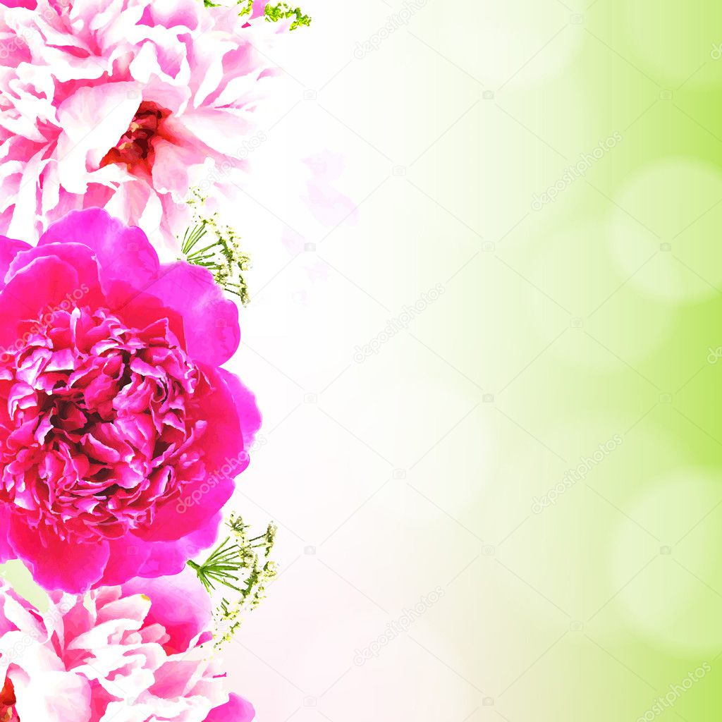 Border With Peony Stock Vector Image by ©adamson #49348887