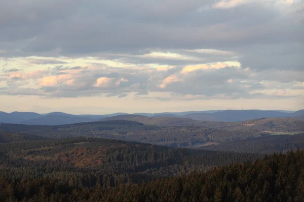 German forest Stock Photos, Royalty Free German forest Images ...