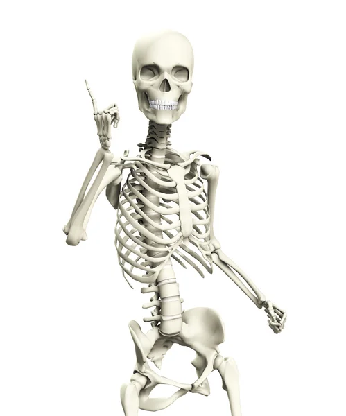 Skeleton muscles Stock Photos, Royalty Free Skeleton muscles Images ...