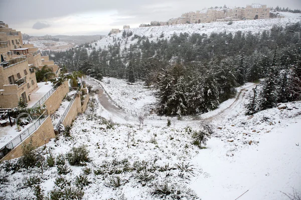 Snow jerusalem Pictures, Snow jerusalem Stock Photos & Images ...