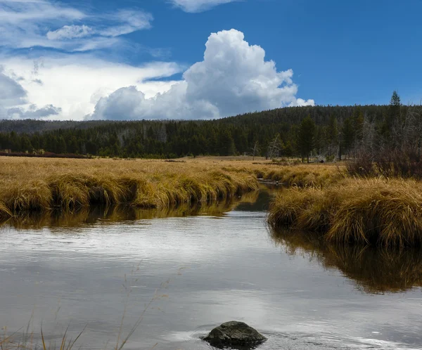 Fall in Glacier National Park Stock Photo by ©donfink 3453889