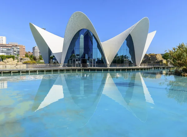 View of L'Oceanografic in Valencia – Stock Editorial Photo © tomtsya ...