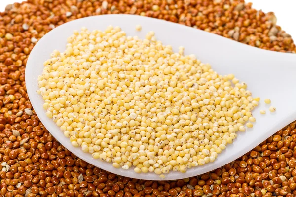 Proso and millet in the spoon - Stock Image - Everypixel