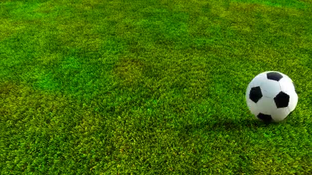 Soccer ball rolling on green grass HD — Stock Video © tomisl.z #46176919