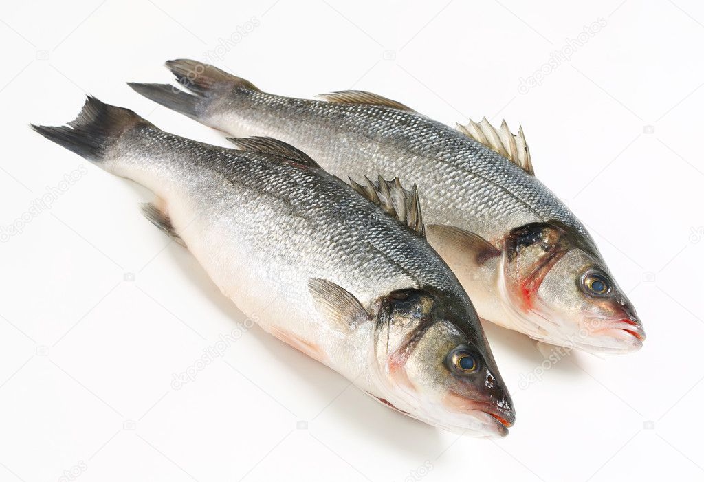 Dois peixes de robalo fresco — Fotografias de Stock © ajafoto #41635835