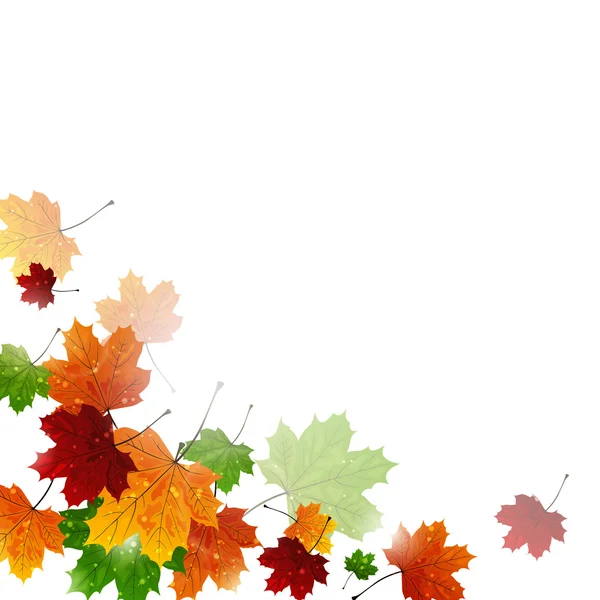 Autumnal design Stock Vector Image by ©ramonakaulitzki #14577269