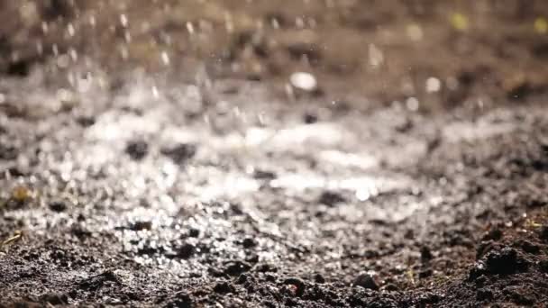 Rain falling on ground HD — Stock Video © krabata #12584429