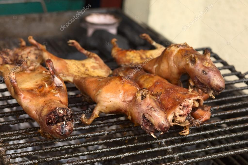 Cuy asado en baños, ecuador — Foto editorial de stock#51555539 ...