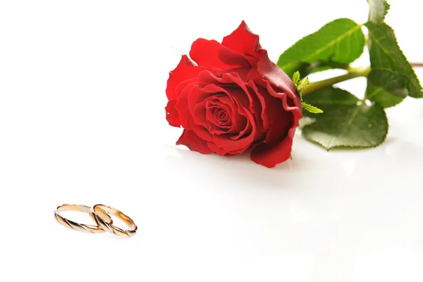 Wedding rings and red roses — Stock Photo © vikiri #1045157