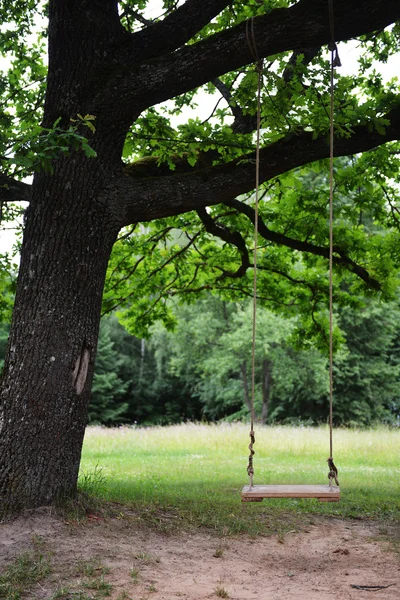 Swing on oak tree Stock Photo by ©Taden1 52279069