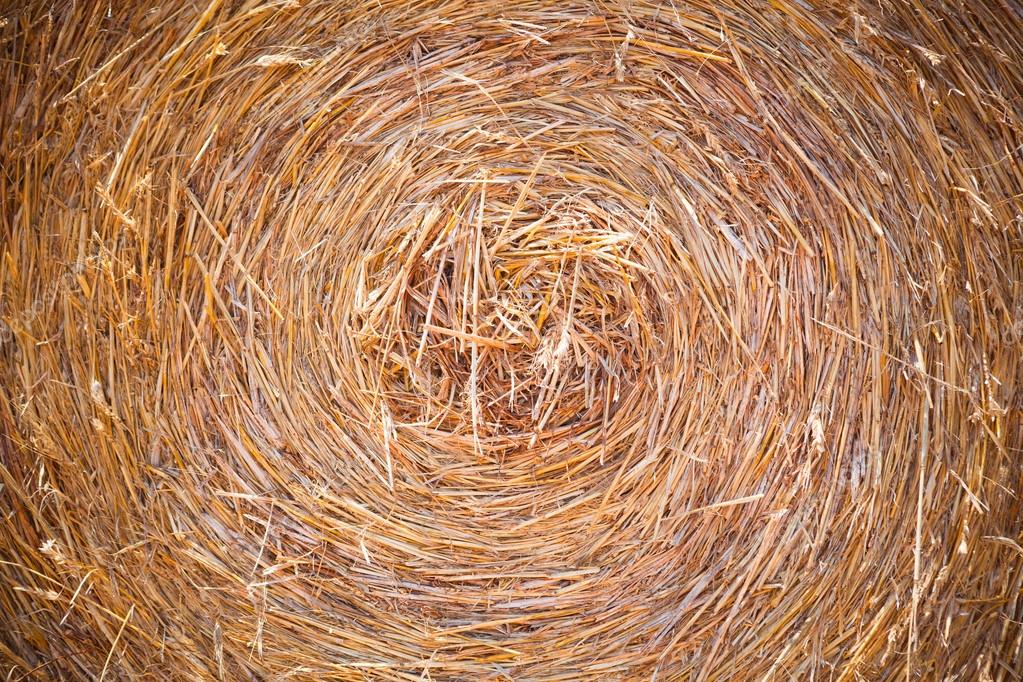 Hay bale background Stock Photo by ©nikkytok 29553261