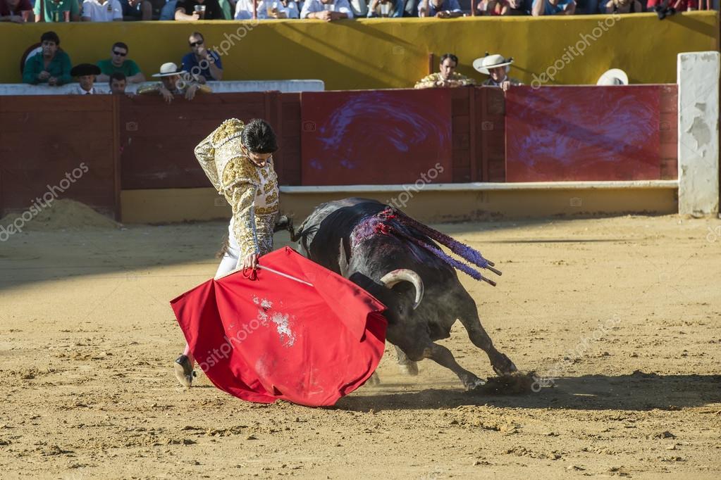 Alejandro Talavante luchando en Ávila — Foto editorial de stock ...