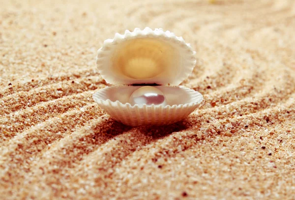 Una concha de mar abierto con una perla en el interior . — Foto de ...