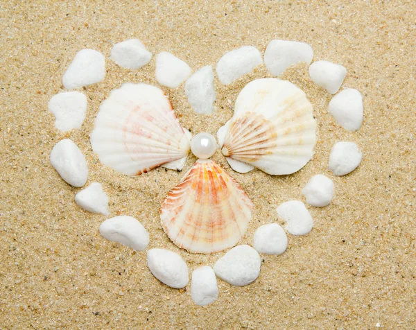 Heart made of shells Stock Photos, Royalty Free Heart made of shells ...