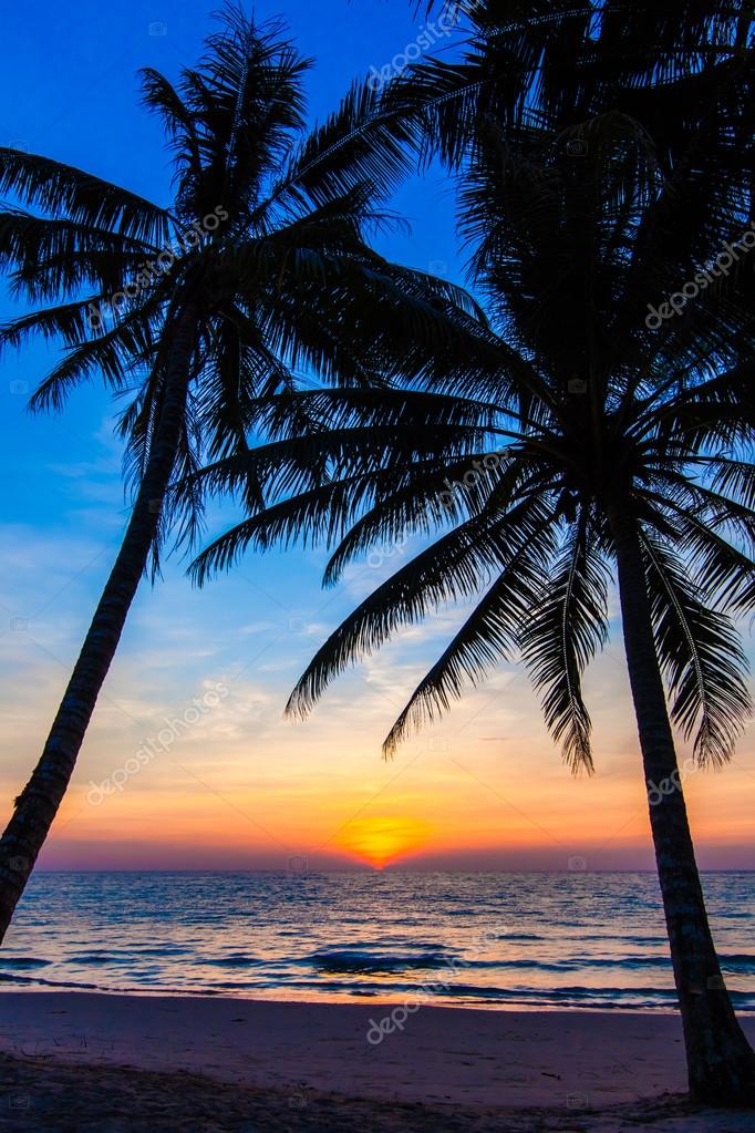 Beautiful Sunset And Palm Wall Art Desire Tropical Beach Wall Mural