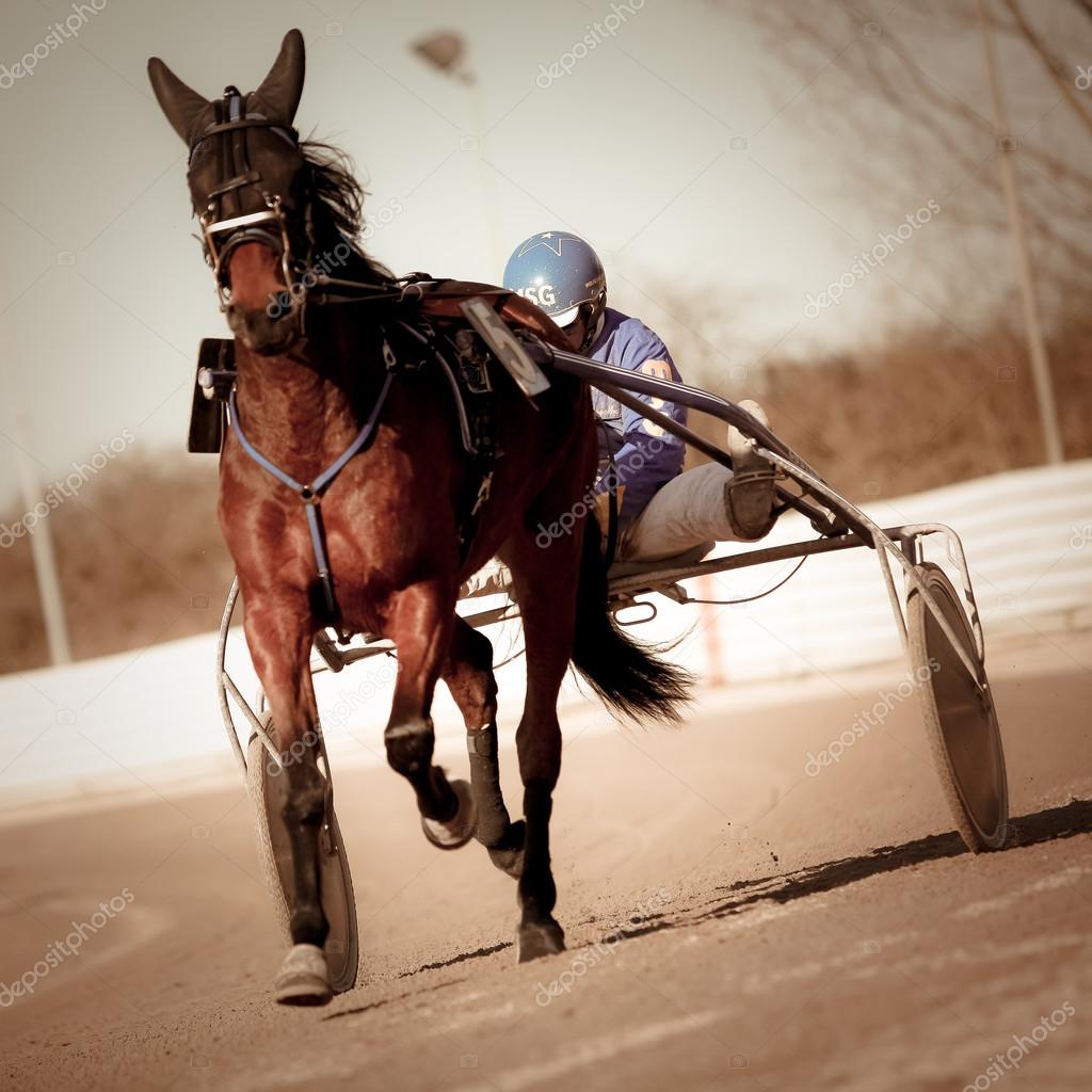 Pics: harness racing | Harness Racing – Stock Editorial Photo ...