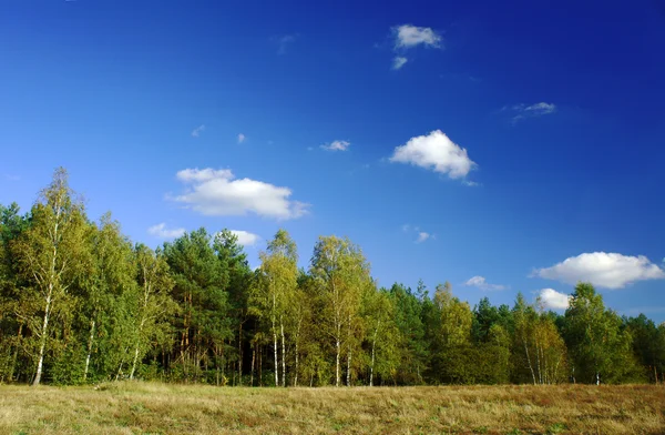 Treeline Stock Photos, Royalty Free Treeline Images | Depositphotos