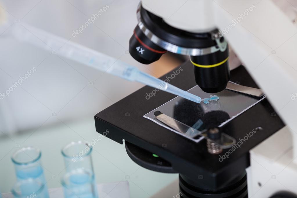 Close-up Of Sample On Microscope Slide — Stock Photo © AndreyPopov ...