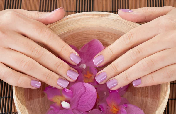Spa Treatment For Hands - Stock Image - Everypixel