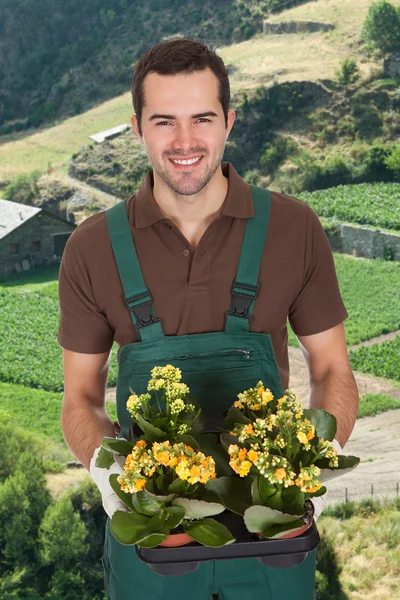 Man holding flowers Stock Photos, Royalty Free Man holding flowers ...