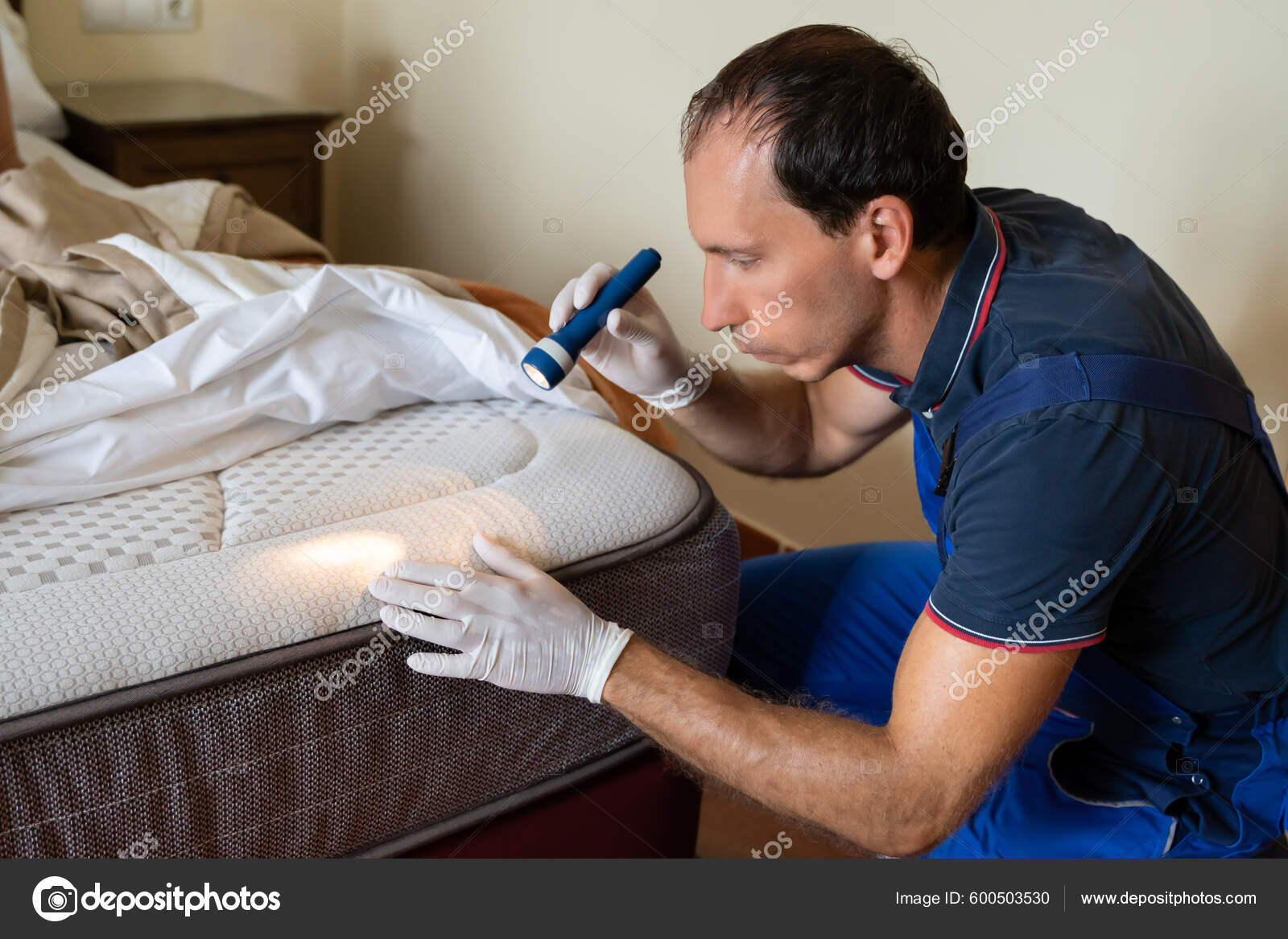Bed Bug Infestation Treatment Service Bugs Extermination Stock Photo by ...