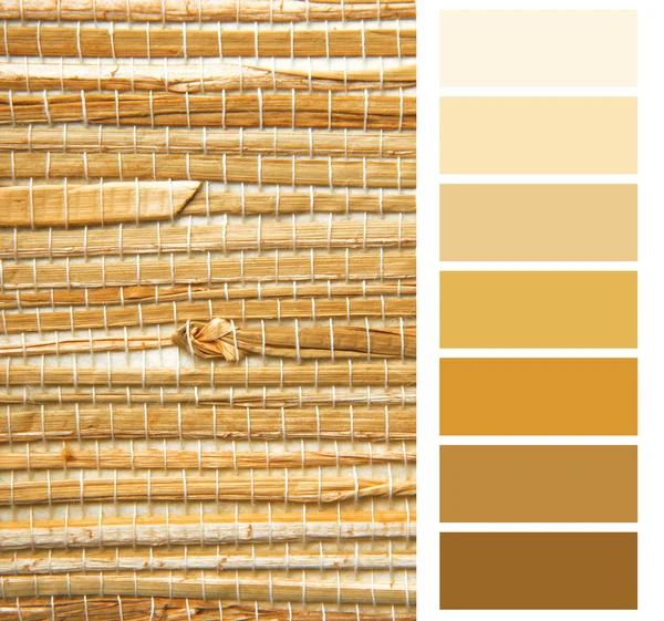 Stone color palette swatches with complimentary — Stock Photo ...