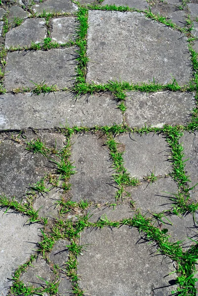 Grass paving block Stock Photos, Royalty Free Grass paving block Images ...