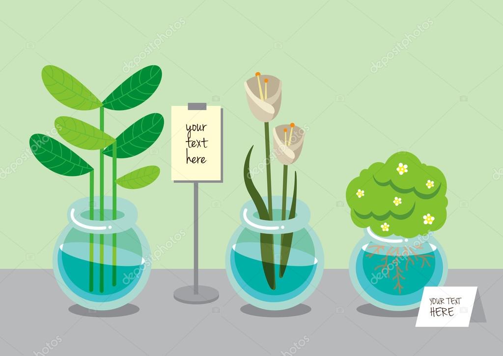 Water plant in a pot Stock Vector Image by ©mhatzapa #38222927