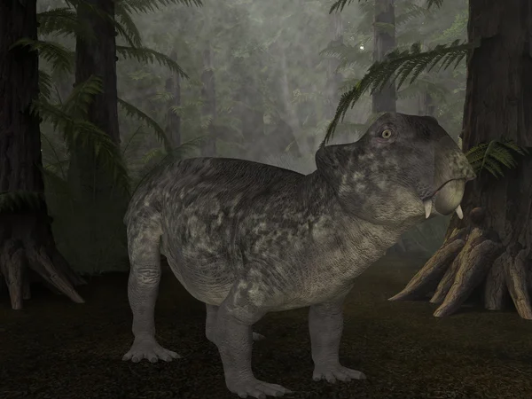 Imágenes de Lystrosaurus, fotos de Lystrosaurus sin royalties ...