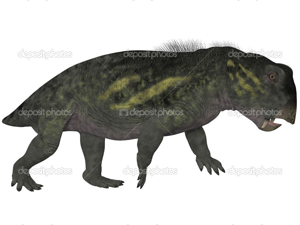 Lystrosaurus