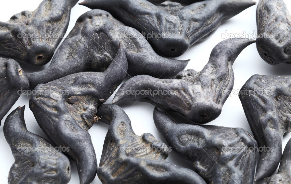 Water Caltrop Stock Photo by ©leungchopan 23127832
