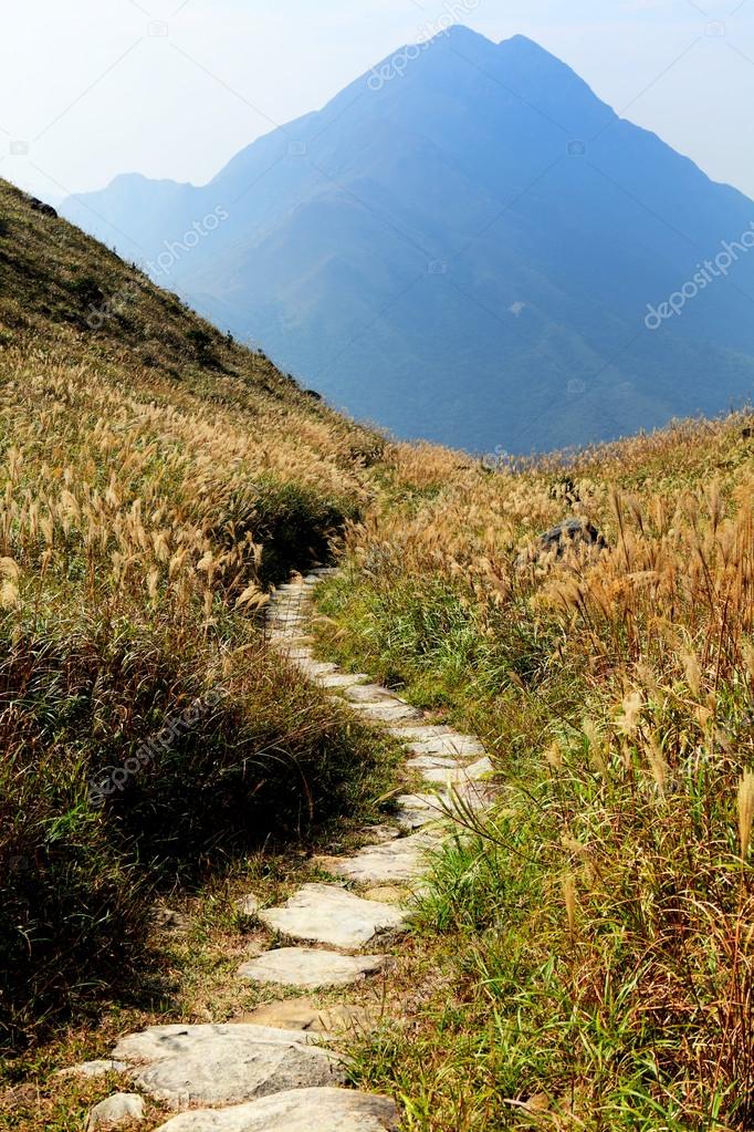 Mountain path Stock Photo by ©leungchopan 26052699